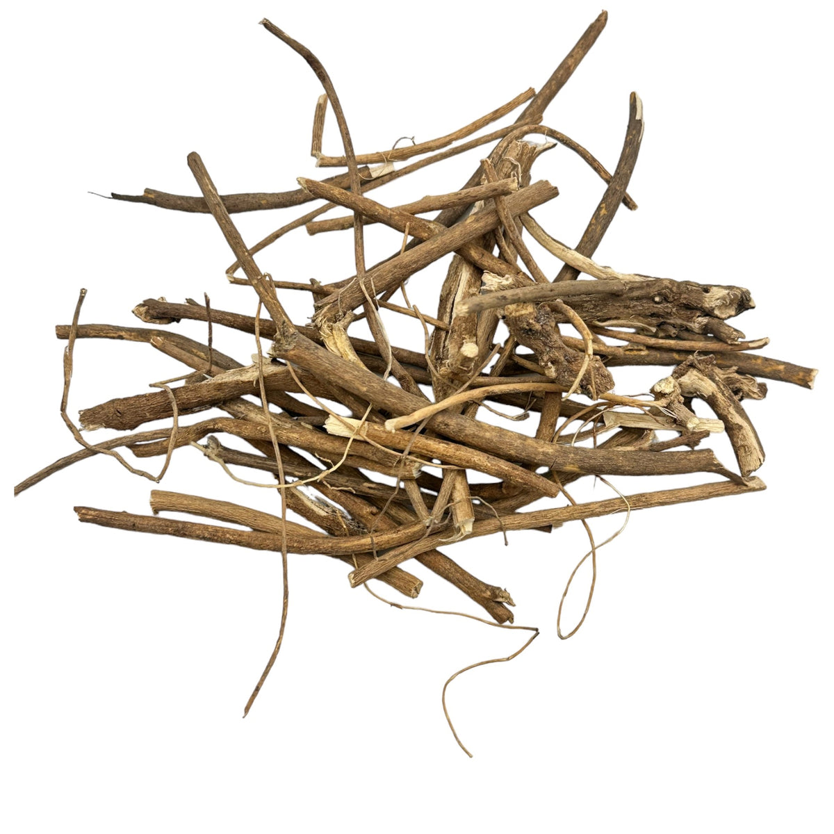 Devil's Shoestring Root - 28 Grams – Solo Therapy