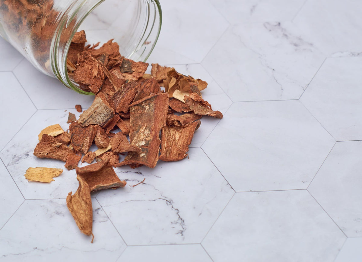 Cuachalalate Bark - 2 oz. – Solo Therapy